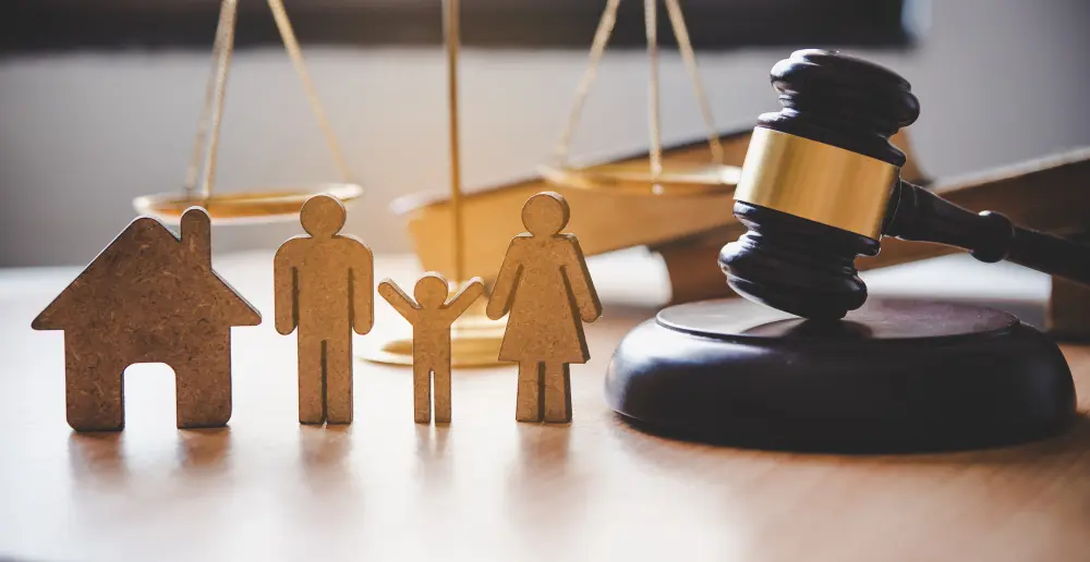 Which Family Law Cases Require A Lawyer And Why?